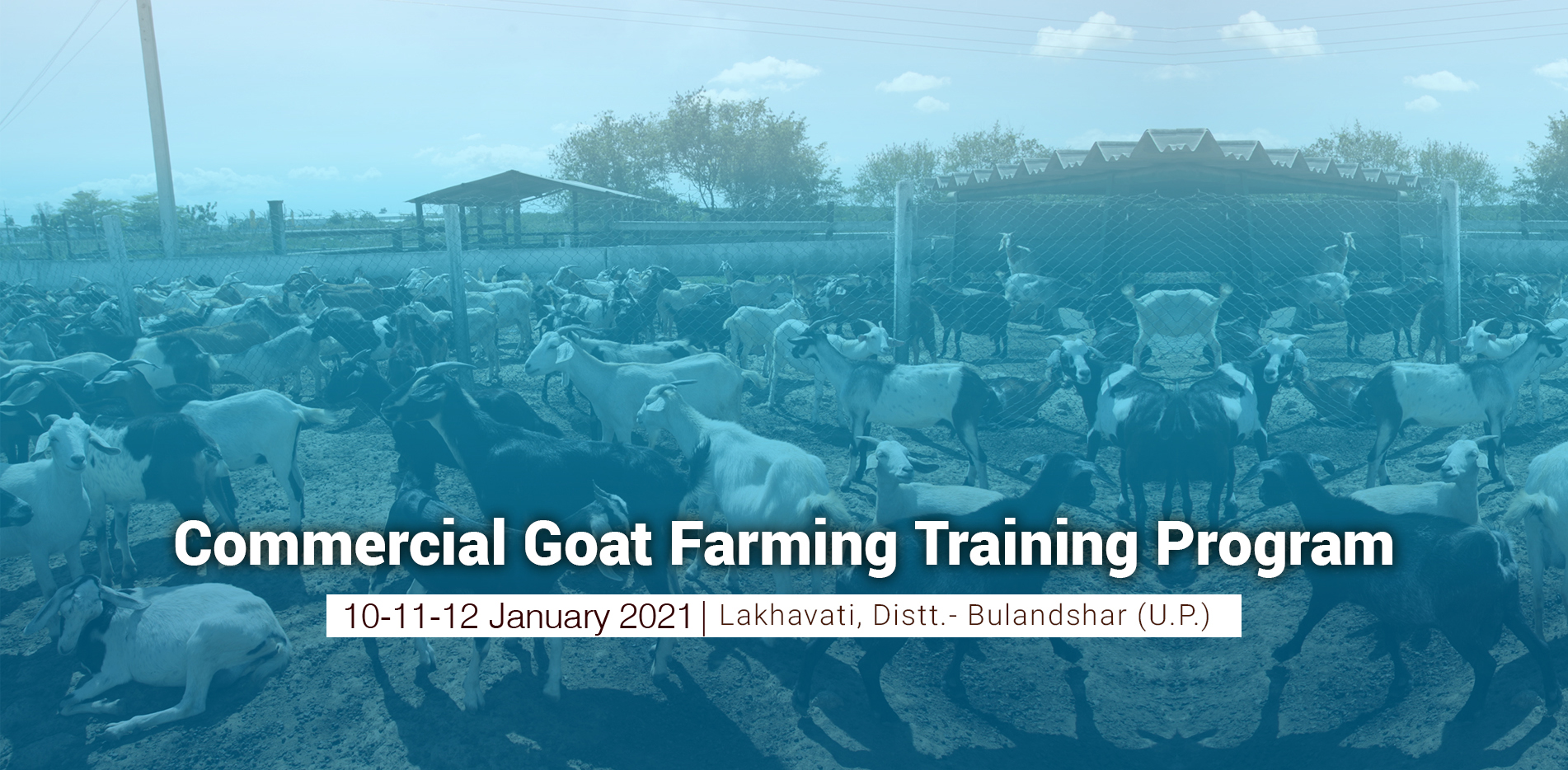COMMERCIAL GOAT FARMING TRAINING PROGRAM 2021